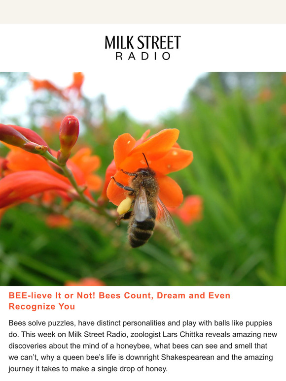 Milk Street Kitchen: BEE-lieve It or Not! Bees Count, Dream and Even ...