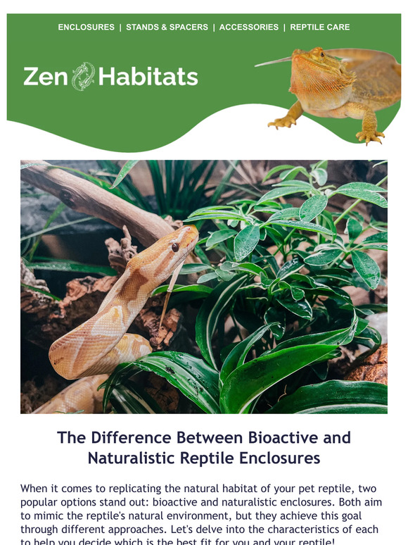 Zen Habitats: Bioactive VS. Naturalistic: What's the difference?🤔🌿 | Milled