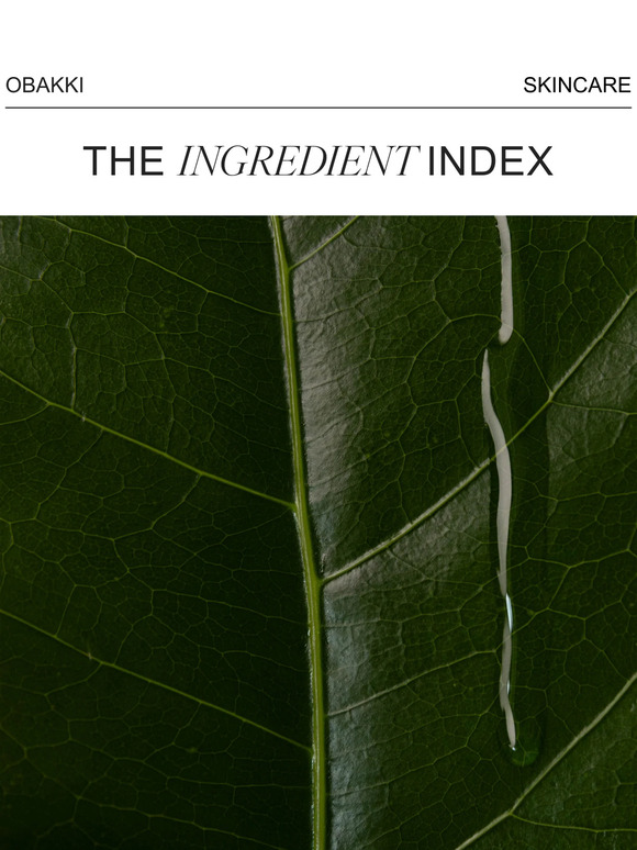 Obakki: The Ingredient Index | Milled