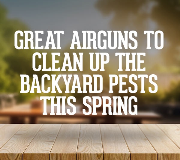 Airgun Depot: Backyard Pesting Airguns | Milled