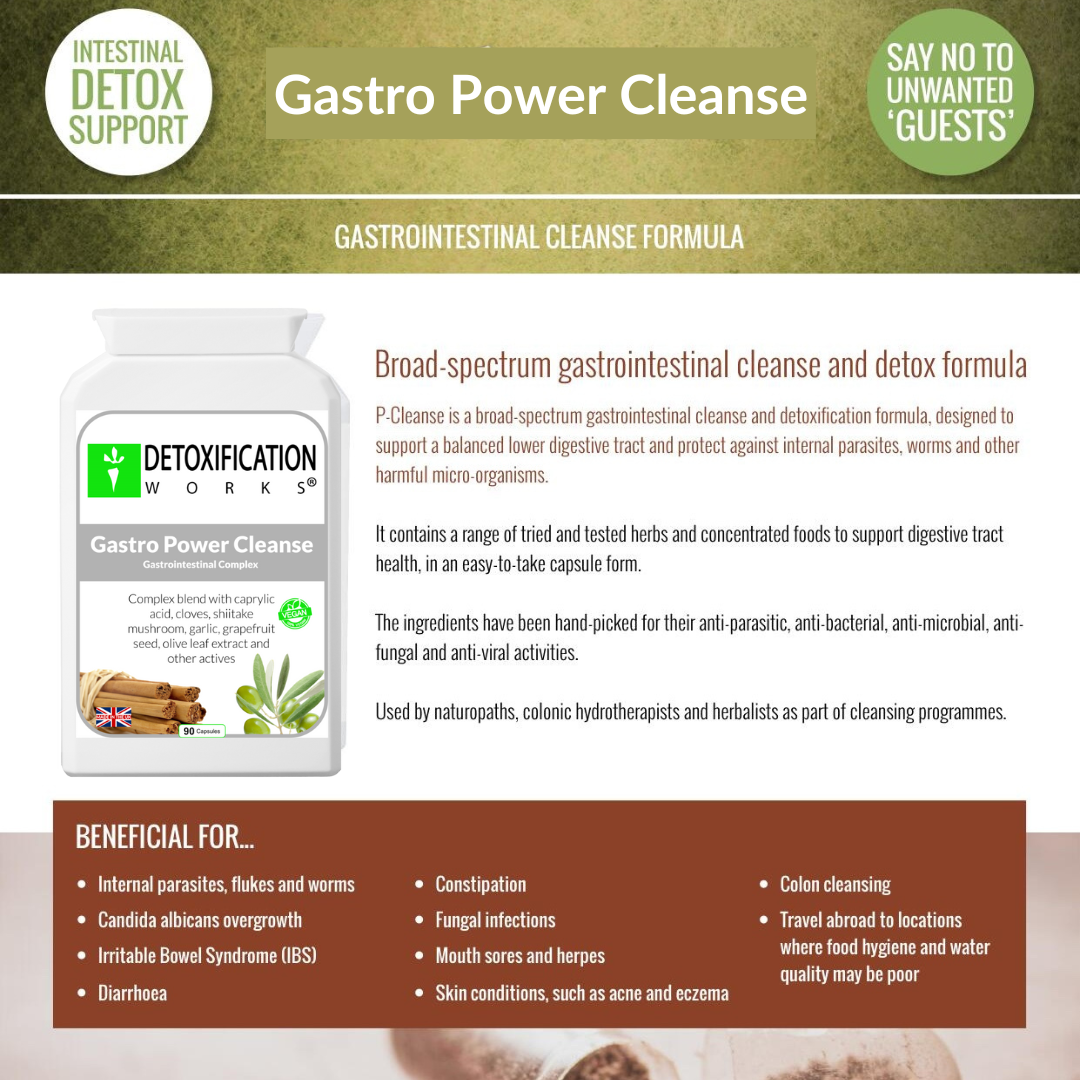 Detoxification Works: See What You've Been Missing! 🌟 Gastro Power ...