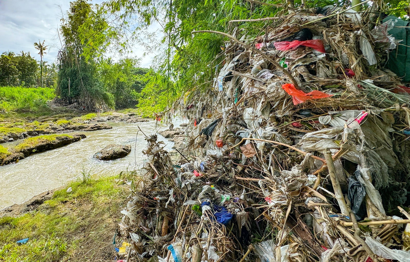 4ocean: 🌴 THE TREES ARE FULL OF TRASH | Milled
