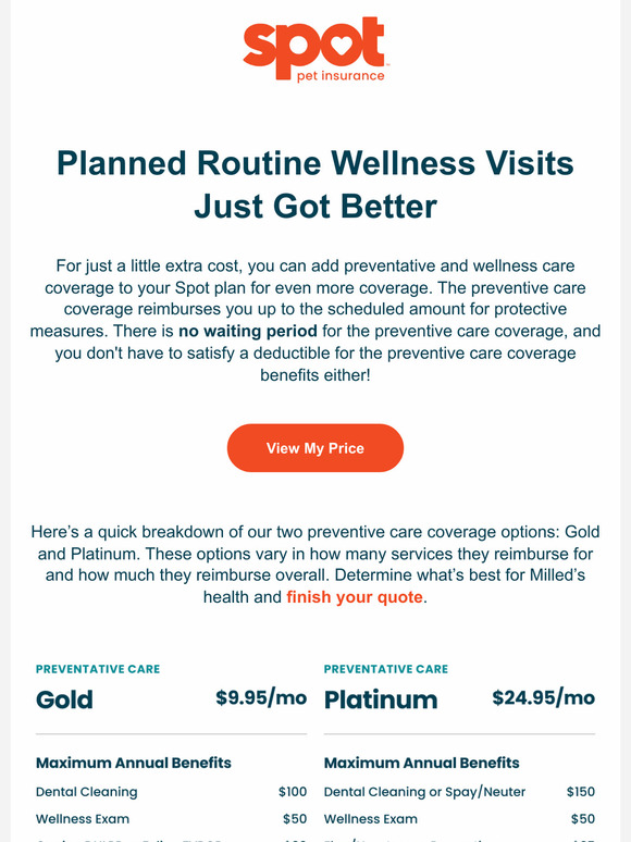Spot Pet Insurance: Here’s Our Preventative Care Plan Breakdown | Milled