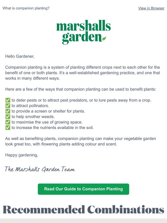 Marshalls Seeds: Your guide to companion planting | Milled