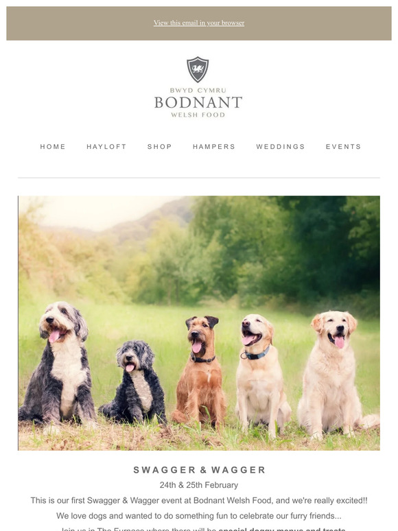 Bodnant Welsh Food Centre: Swagger & Wagger 🐕 | Milled