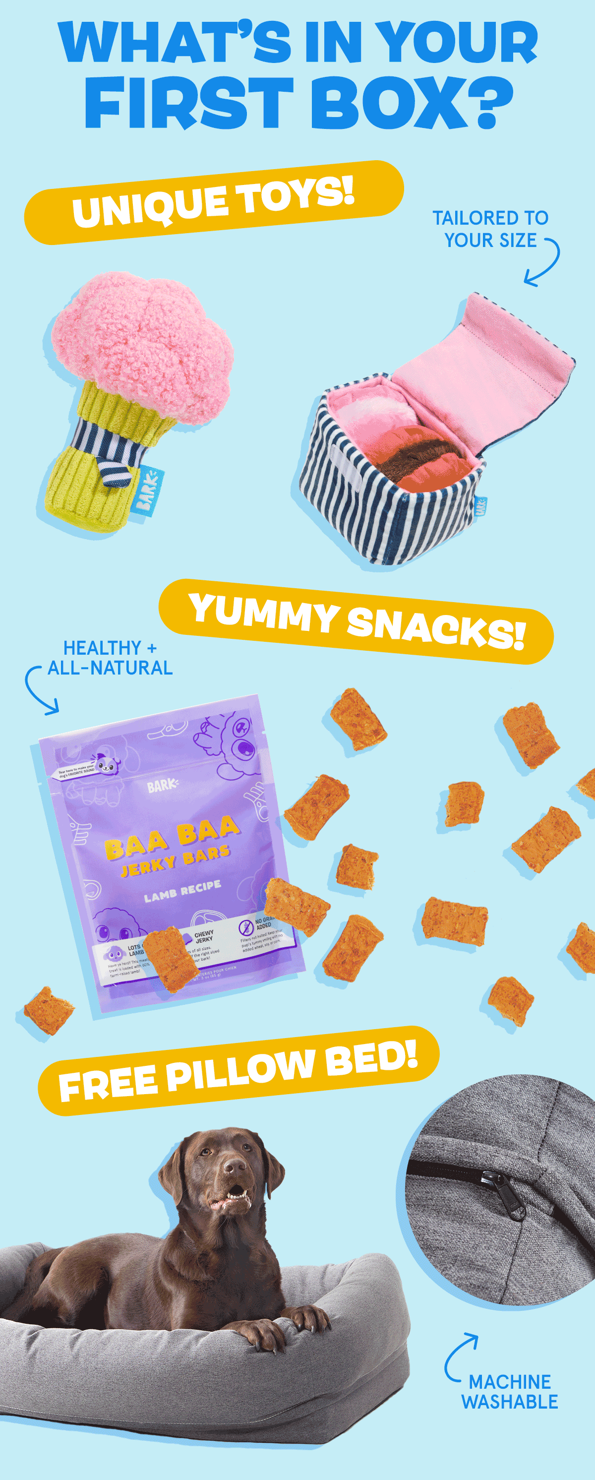 Bark: The only Presidents’ Day deal for dogs 👉 | Milled