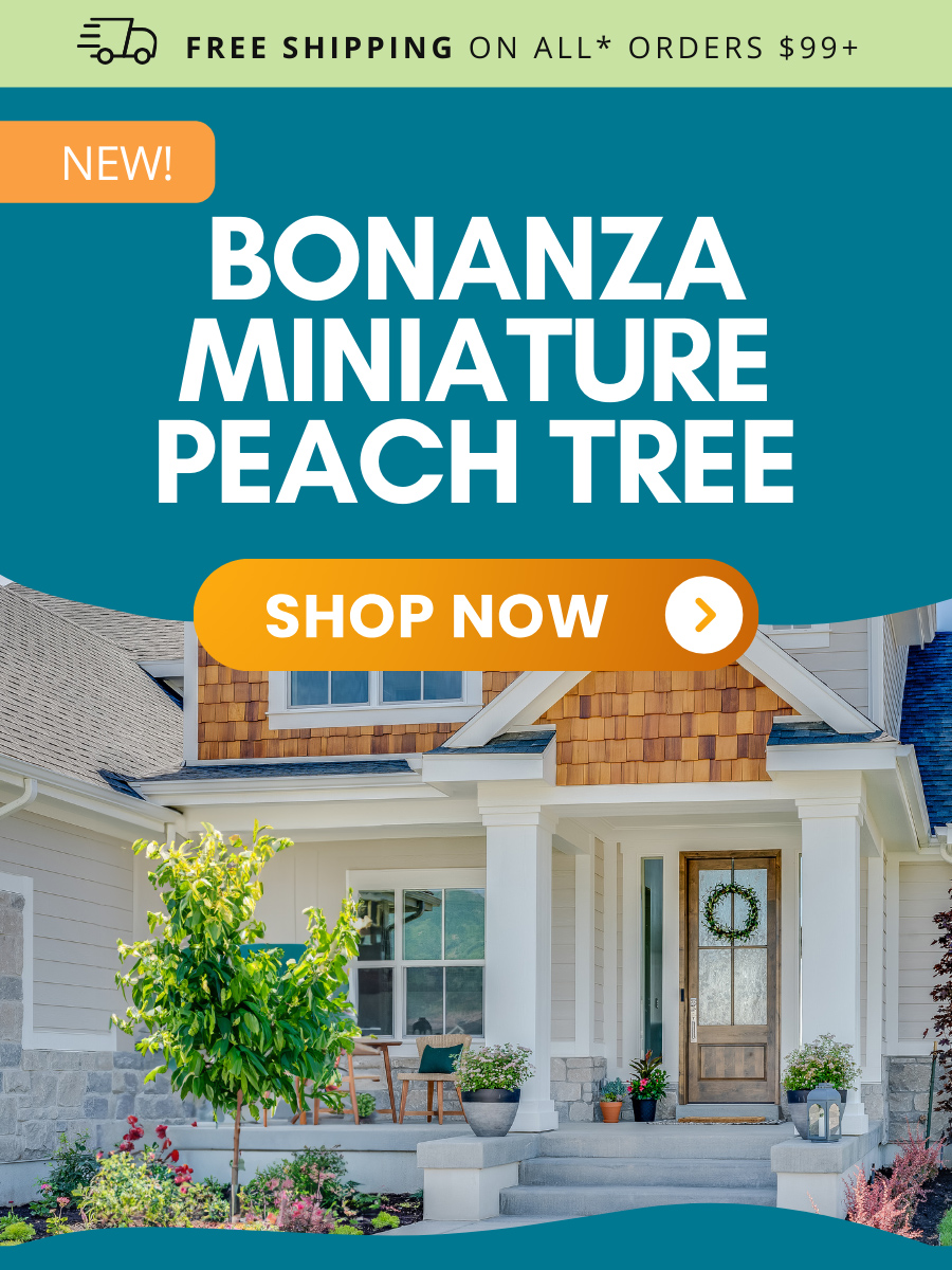 Stark Bro's: 🍑 NEW! Bonanza Miniature Peach | Milled