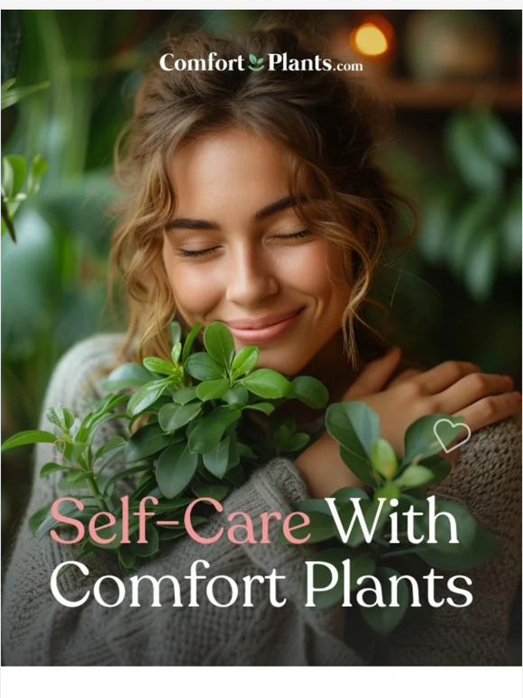 Comfort Plants: Self-Care with Comfort Plants | Milled