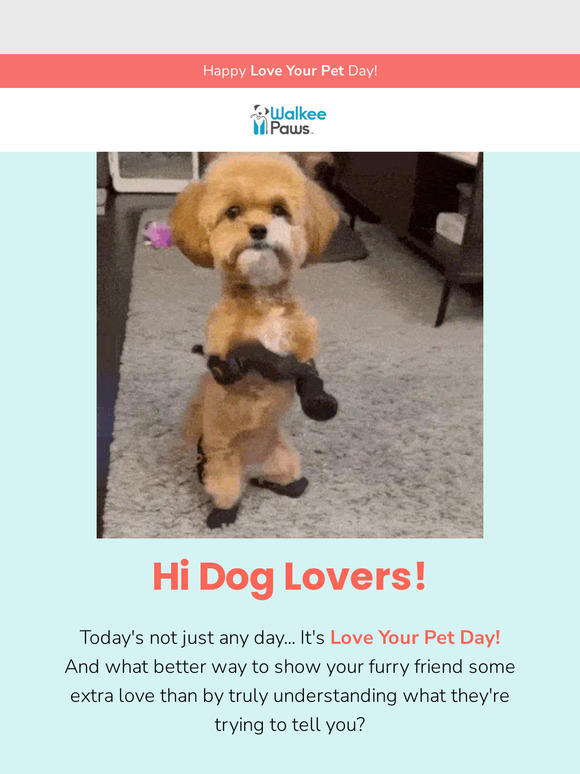 Walkee Paws: Decode Barks & Tail Wags: The Love Language of Dogs ...