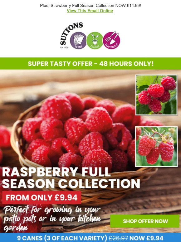Suttons Seeds: Full Season Raspberry Collection NOW £9.94! | Milled