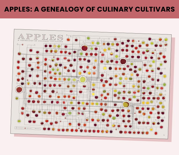 Pop Chart Lab: NEW: A Chart to PIE for 🥧 | Milled