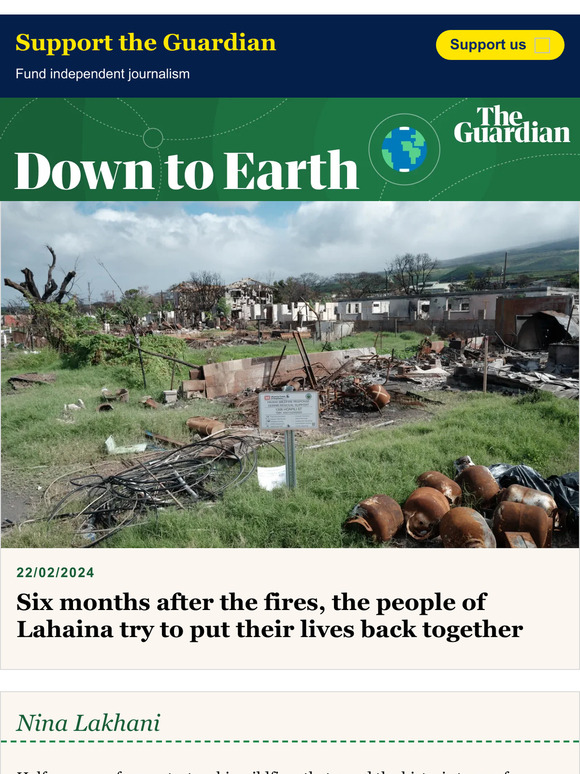 The Guardian: The aftermath of climate disaster | The Guardian | Milled