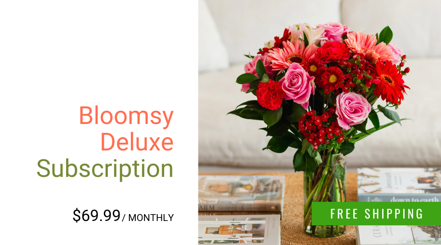 BloomsyBox: Top Sellers | Milled