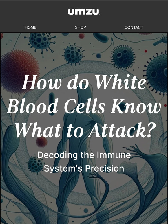 UMZU: "How do White Blood Cells Know What to Attack?" | Milled