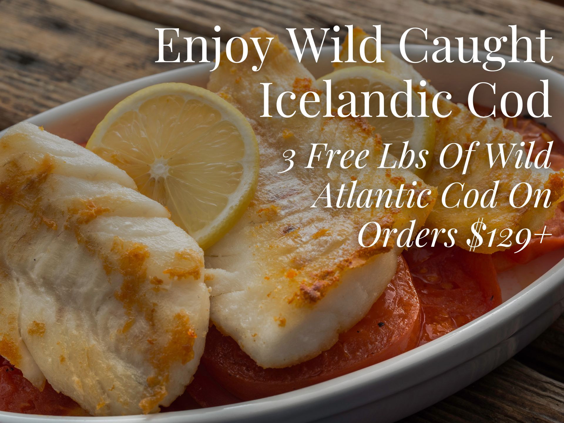 Sizzlefish: Atlantic Cod: Prized Fish of Iceland! | Milled