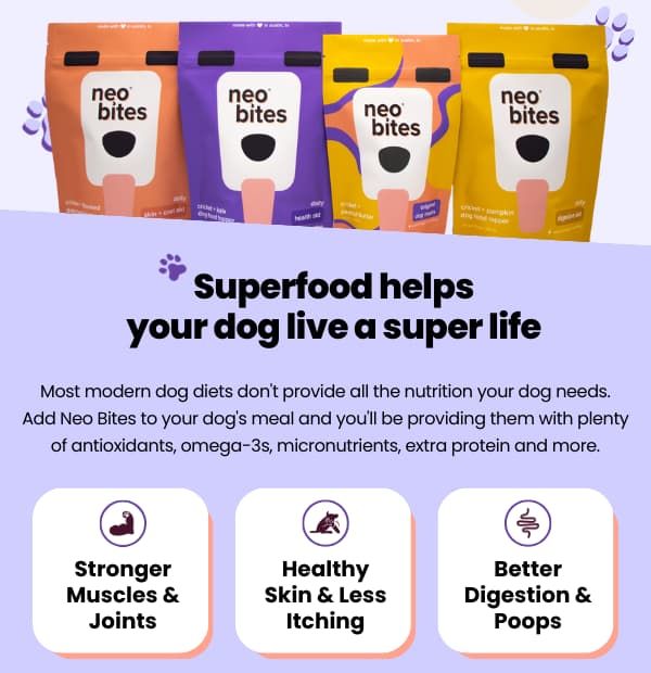 Neo Bites: It's National Dog Biscuit Day! Get a FREE Bag of Treats with ...