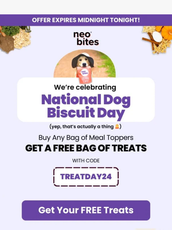 Neo Bites: It's National Dog Biscuit Day! Get a FREE Bag of Treats with ...