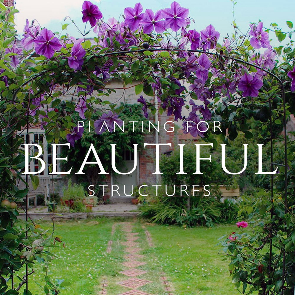 Agriframes: Planting for Beautiful Structures | Inspiration | Milled