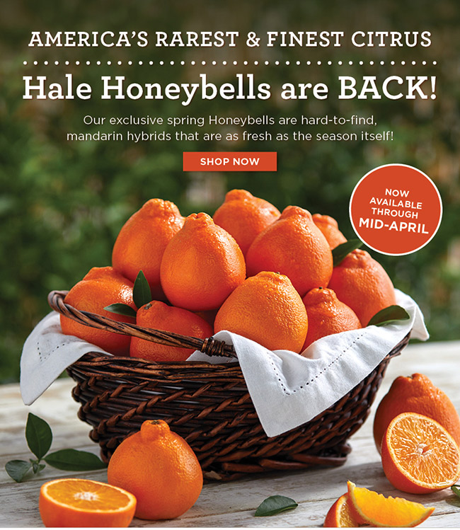 Hale Groves: America's Rarest & Finest Citrus - Hale Honeybells are ...