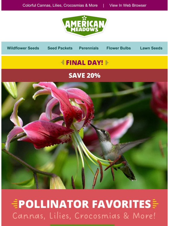American Meadows: Final Day For 20% Off Pollinator Favorites | Milled