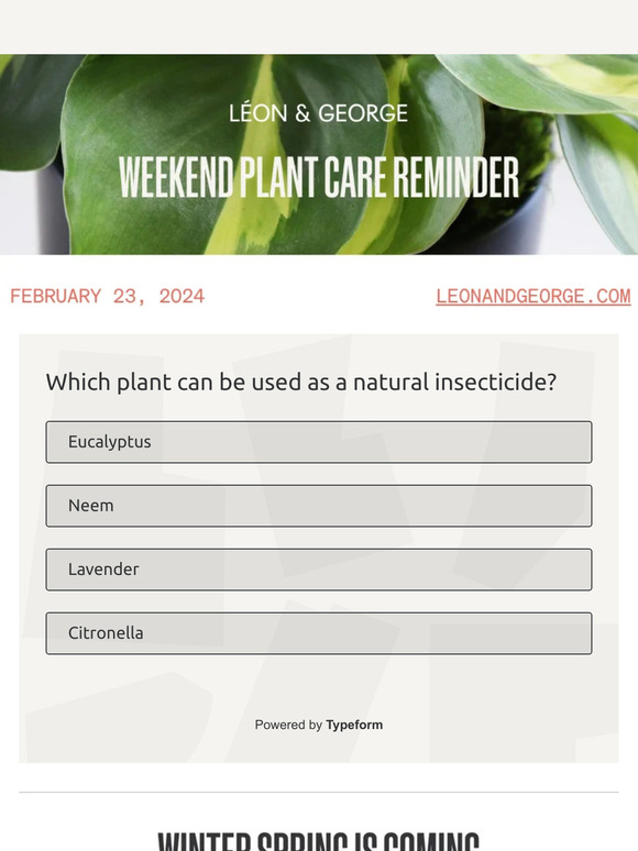 Leon & George: Weekend Plant Care Reminder | Milled