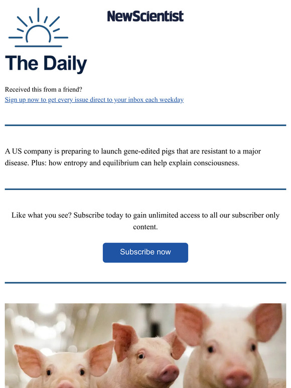 New Scientist: Gene-edited meat could soon be on the menu | Milled