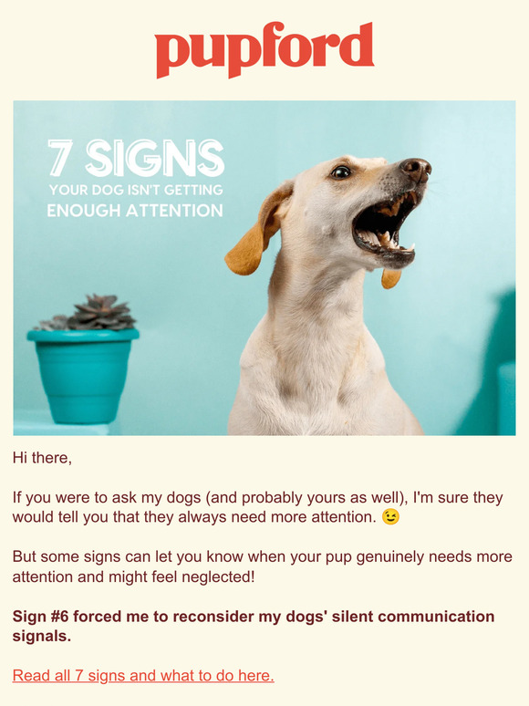 Pupford LLC: 🙃 7 Signs Your Pup Isn't Getting Enough Attention! | Milled