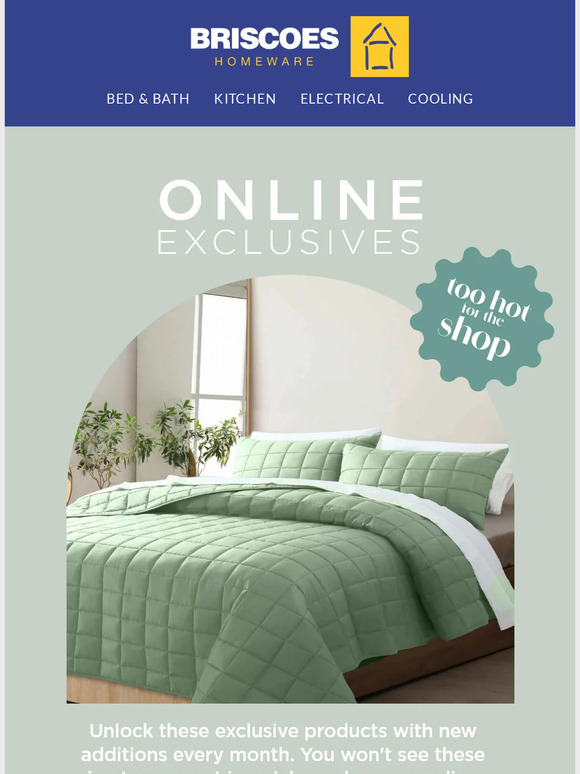 Briscoes: There's MORE to explore online 👀 | Milled