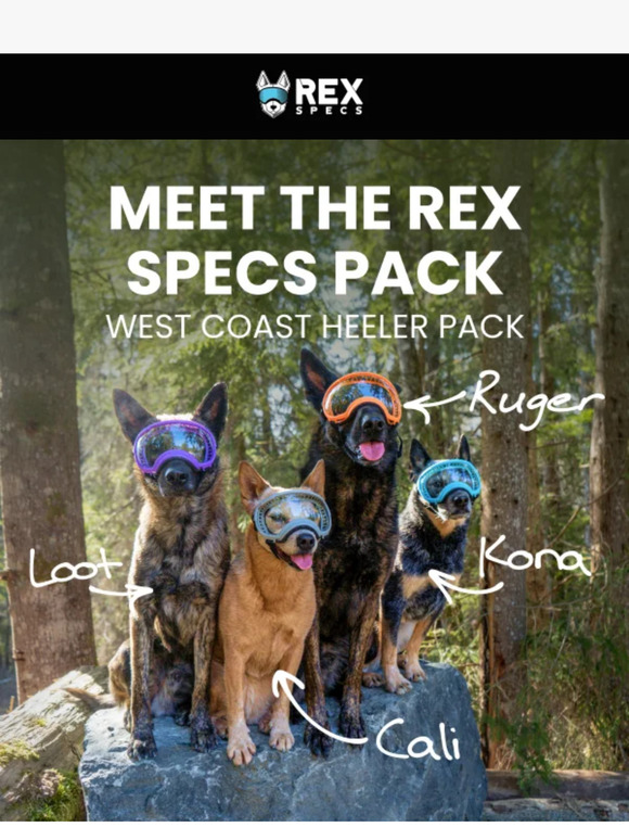 Rex Specs: Meet The Pack That Has Been Using Rex Specs For a Decade ...