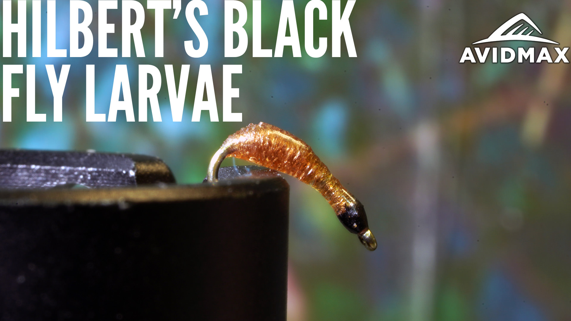AvidMax: Hilbert's Black Fly Larvae II Fly Tying Tuesday | Milled