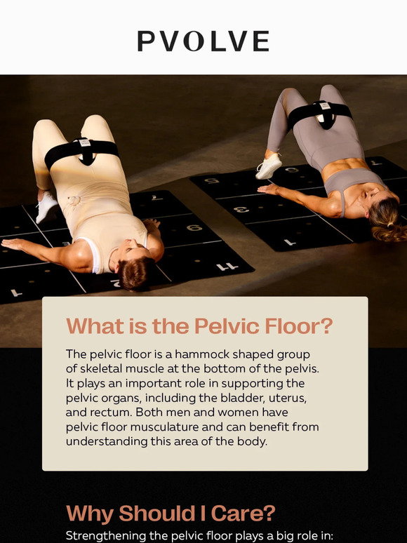 Pvolve: What is Your Pelvic Floor? | Milled