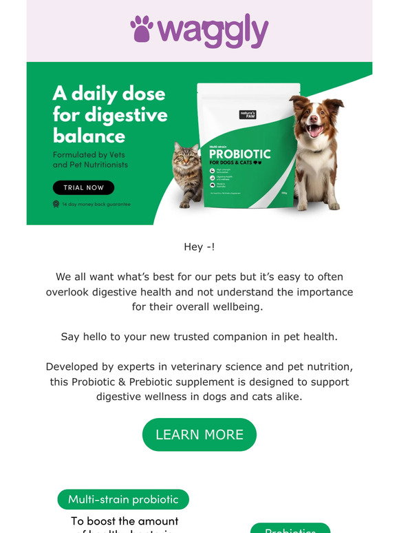 Waggly: Is your dog showing signs of poor gut health? 🩺 | Milled