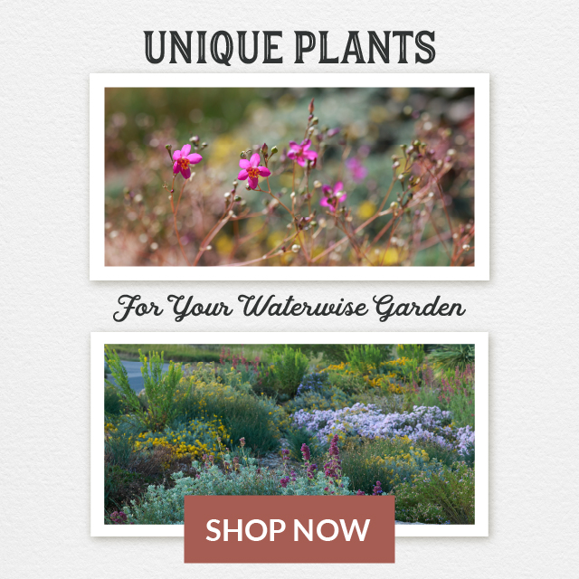 High Country Gardens: Unique Plants For Your Waterwise Garden | Milled