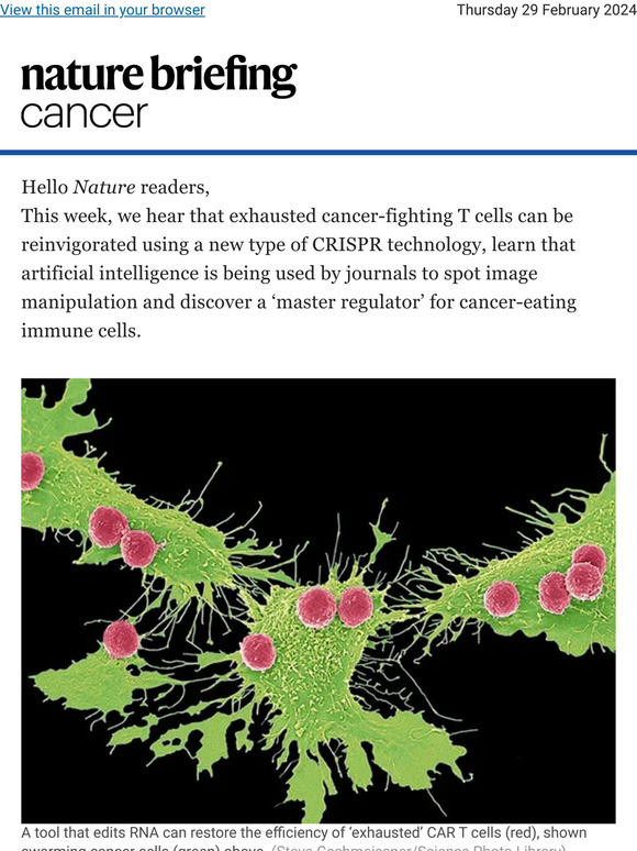 Nature: Cancer-eating cells activated by ID3 protein | Milled