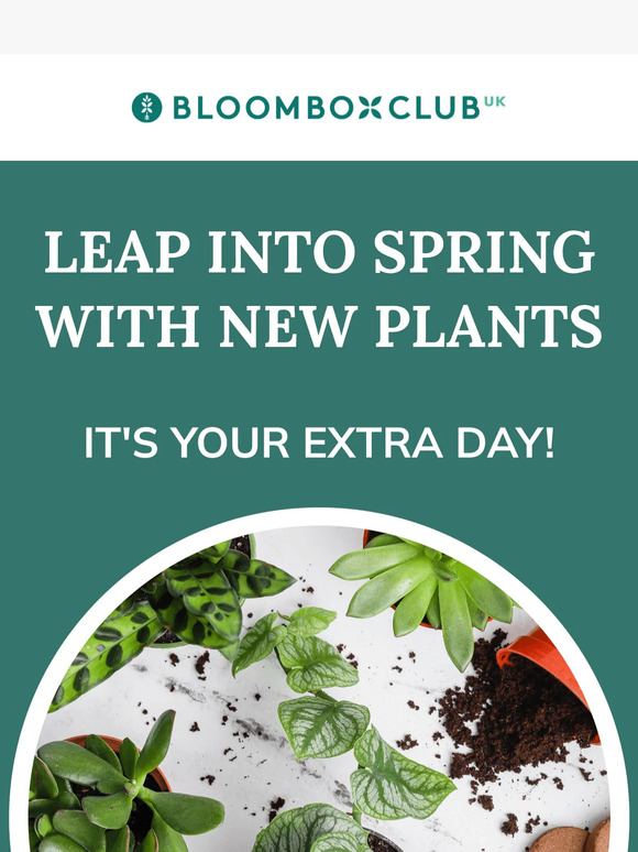 Bloombox Club: Leap Into Spring with New Plants | Milled