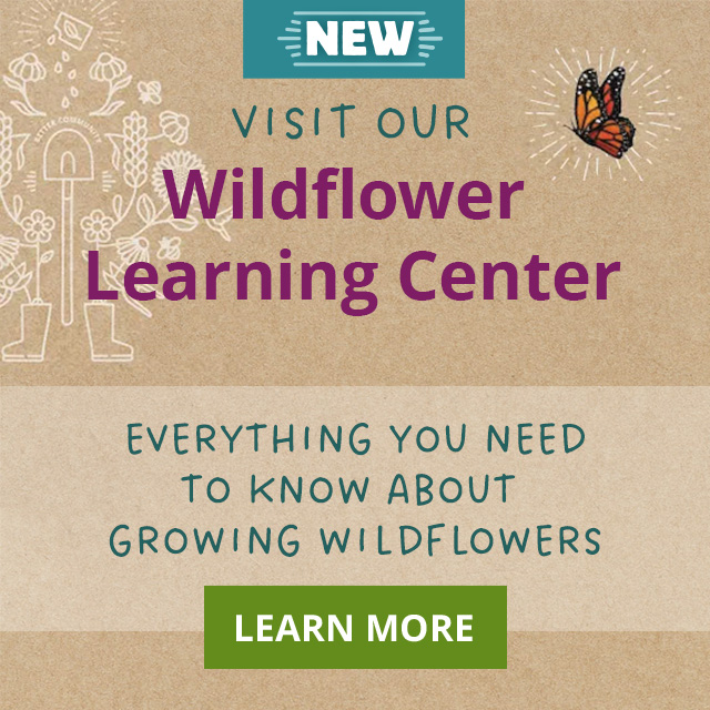 American Meadows: Dig In With Our NEW Wildflower Learning Center | Milled