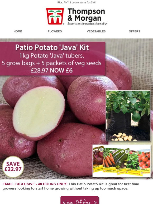 Thompson & Morgan: Patio Potato Kit ONLY £6 | Milled