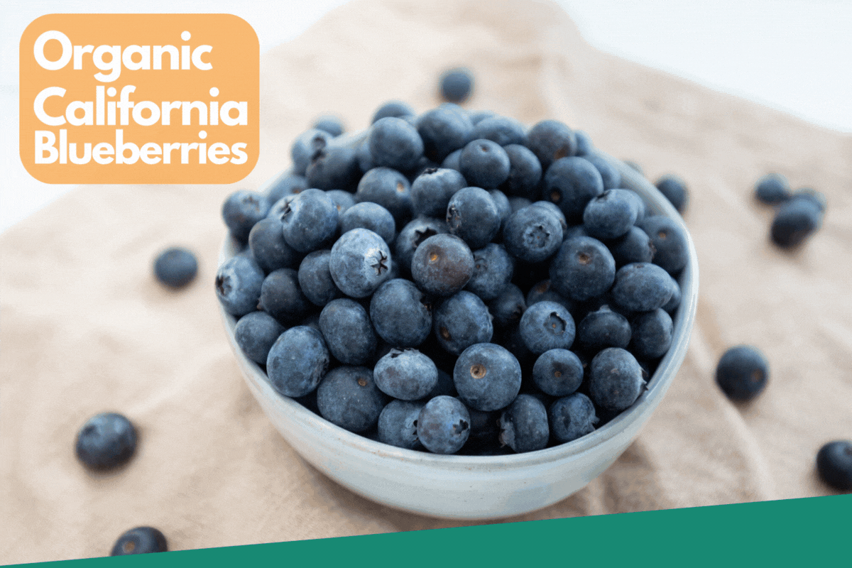 Frog Hollow Farm: Organic Blueberries 💙 The Perfect Sweet Treat! | Milled