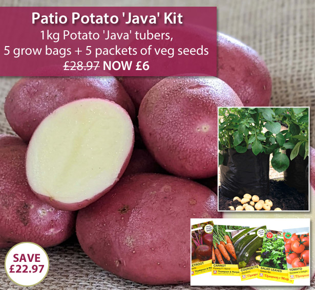 Thompson & Morgan: Patio Potato Kit ONLY £6 | Milled