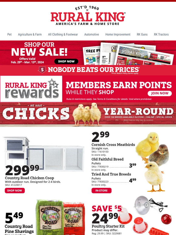Rural King: Visit Our Live Chicks In-Store & Stock Up & Save on the ...