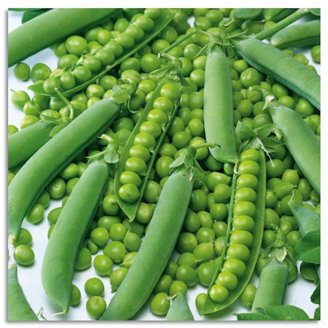 Marshalls Seeds: Beans and Peas: Gardening Must-Haves! | Milled