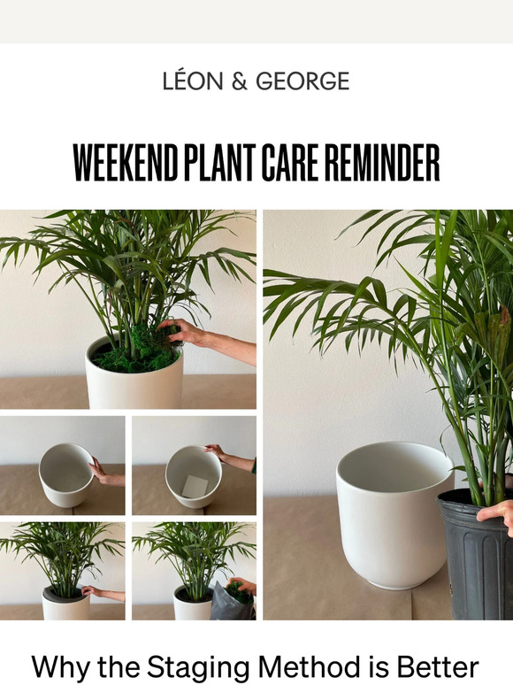 Leon & George: Weekend Plant Care Reminder | Milled