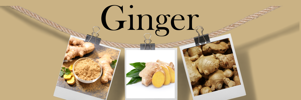 Herbal Roots: Ginger Is A Well-Known Spice | Milled