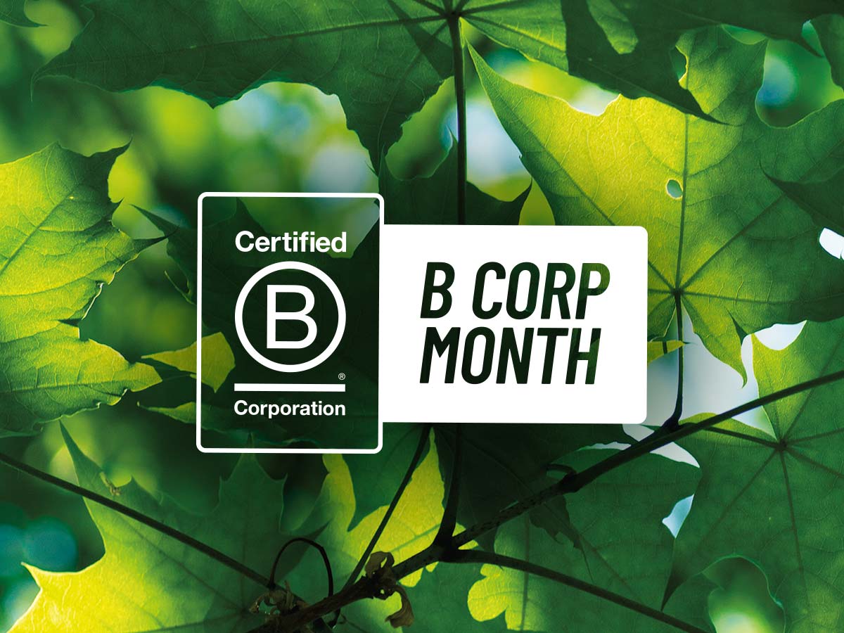 Room & Board: Celebrate B Corp month | Milled