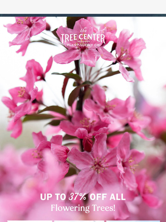The Tree Center: 🌸 Save an ADDITIONAL 15% On All Flowering Trees! This ...