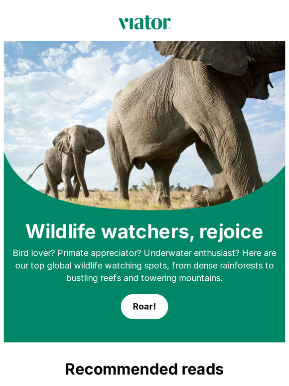 Viator: Travel to see animals in their habitat | Milled