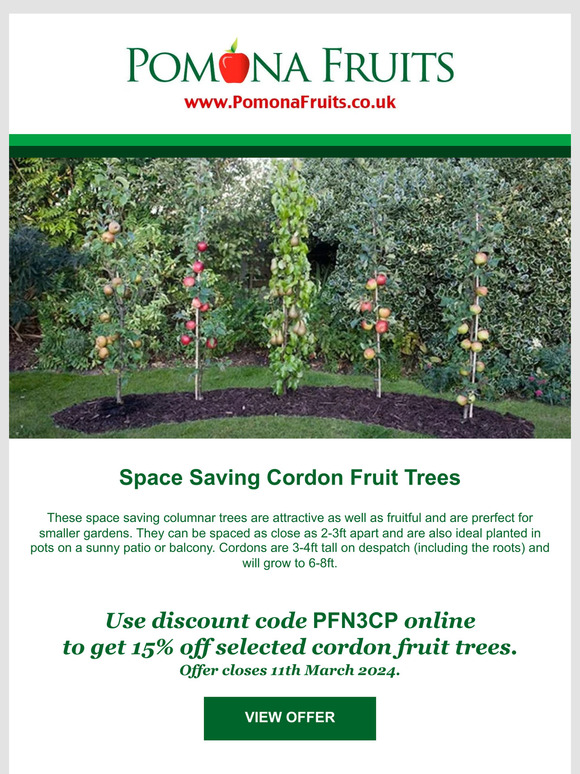 Pomona Fruits: 15% off selected cordon (columnar) fruit trees | Milled