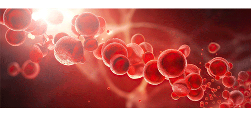 ZStack: The Beauty of Blood. | Milled