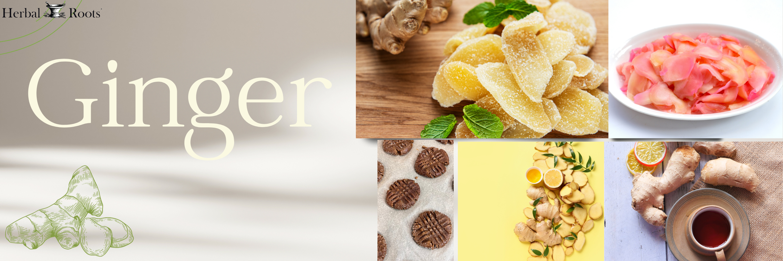 Herbal Roots: There Are Many Forms Of Ginger | Milled