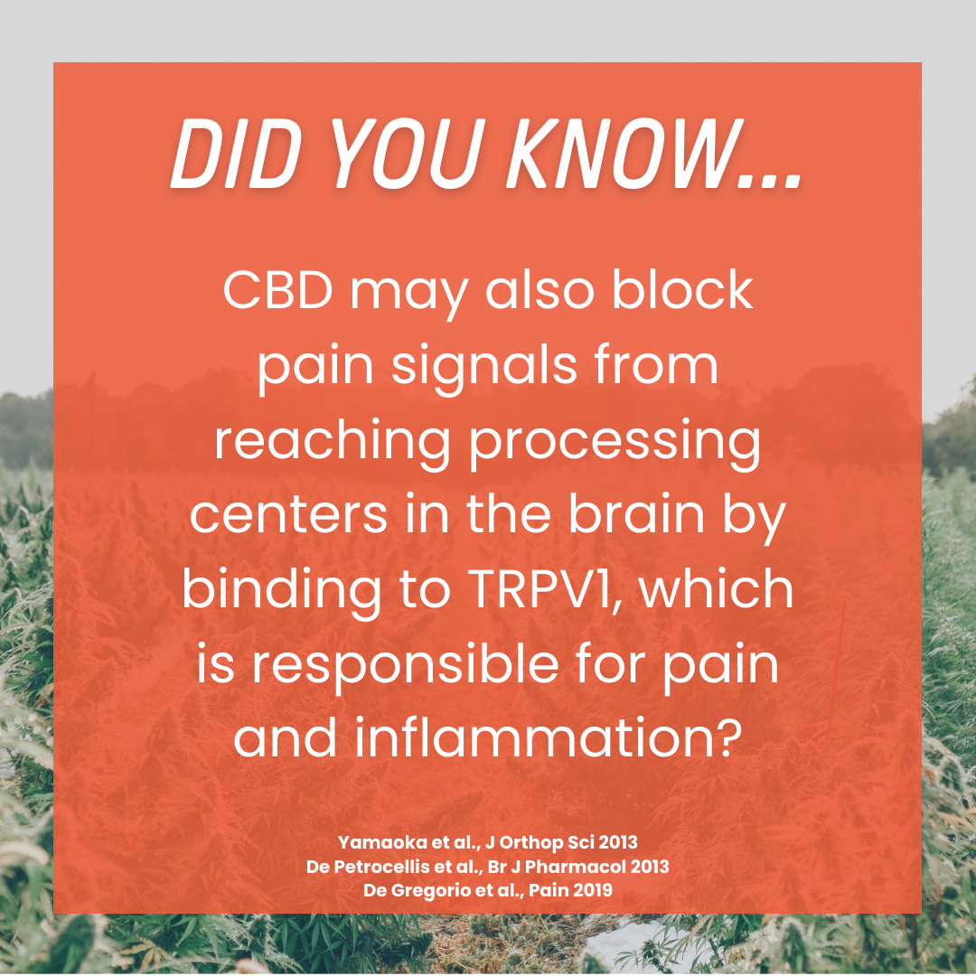 Motive Wellness: Did You Know... | Milled